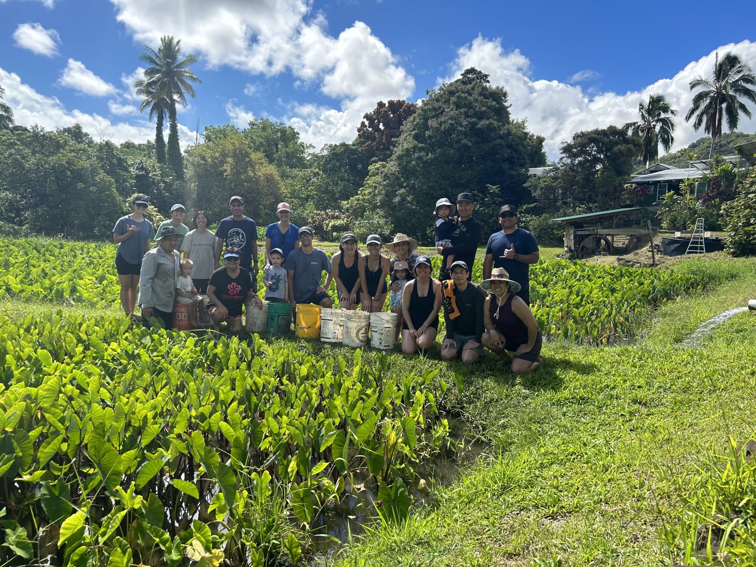 USJC Hawaii Region Spends Time Together at a Taro Patch - U.S.-Japan ...
